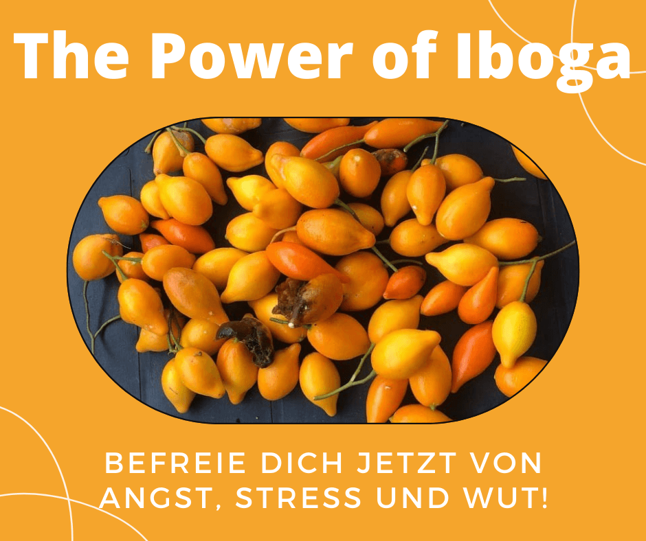 THE POWER OF IBOGA – ibogashop.de